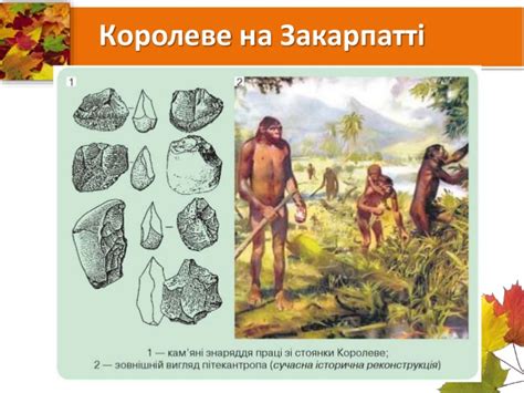 Історія 6 клас Королевська стоянка палеоліт