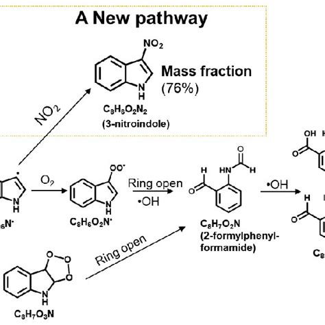 Proposed Chemical Reaction Pathways Leading To The Major Components Of
