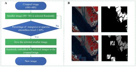 Swin Upernet A Semantic Segmentation Model For Mangroves And Spartina Alterniflora Loisel Based