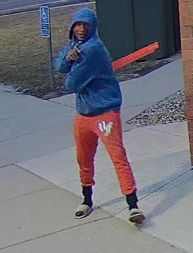 Tree Vandal Suspect1 Local News