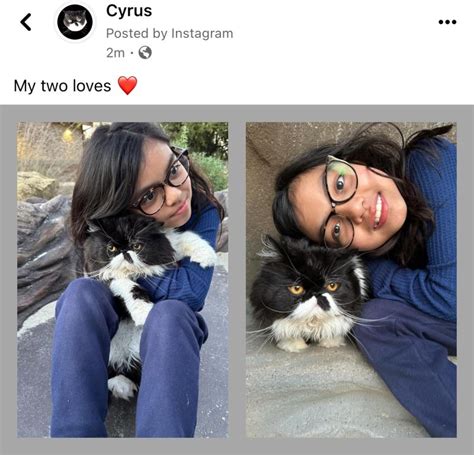 Sassan Darian On Linkedin Cyrus Is Actually My Daughters Cat Hes