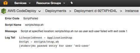 Nodejs Why Does Aws Code Deploy Throw No Passwd Entry For User Ec2 User Error Inspite Of