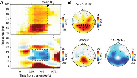 Cortical Responses To The Visual Stimulus A Time Frequency Download Scientific Diagram