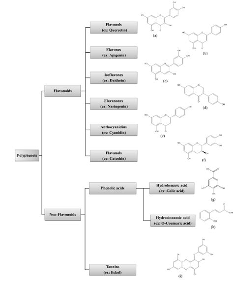 Classification Of Marine Algal Polyphenols According To Chemical Download Scientific Diagram