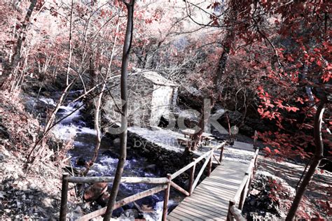퍼 멘 틀 공원의 Pateira 드 로스 스톡 사진 Freeimages