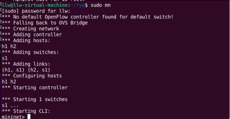 Mininet Ryu Installation و GUI التصور Ubuntu20 04 المبرمج العربي