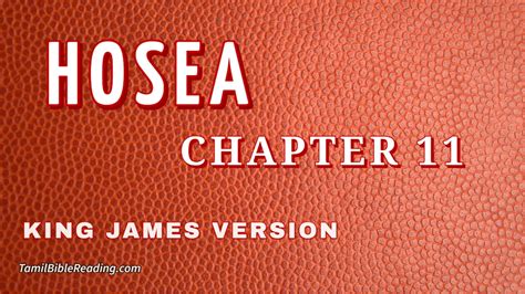 Psalm Chapter 100 King James Version Online Bible Reading