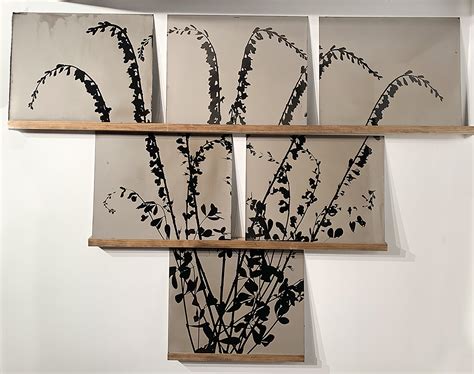 Willie Osterman — Photo Farm