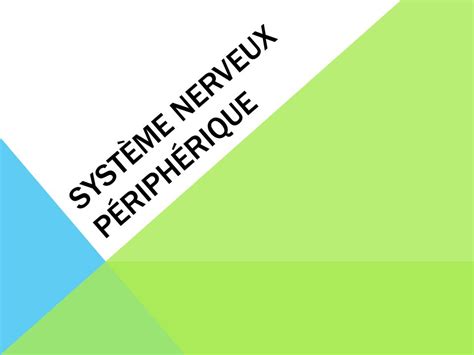 Système Nerveux Périphérique Pdf Etude Az