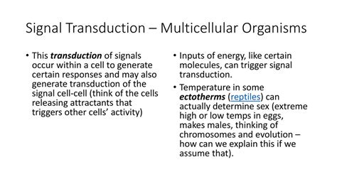 Cell Communication Big Idea 3 D E D Cell Cell And Organism
