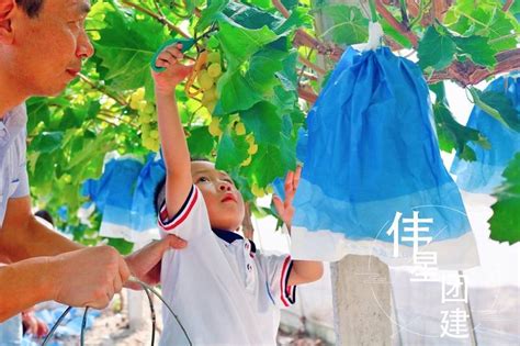 安徽企业家庭日团建活动家庭日活动方案 搜狐大视野 搜狐新闻