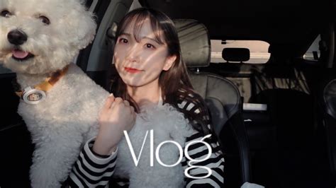 Vlog 취준생 브이로그ㅣybm 토익학원개강남자친구에게 만약 내가 바퀴벌레가 된다면밈 물어보기속초당일치기여행속초중앙시장