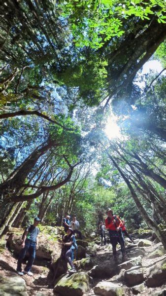 馬崙山 七雄中步道最長 健行筆記