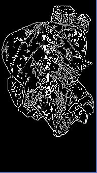 C Opencv Remove Smaller Contours Stack Overflow