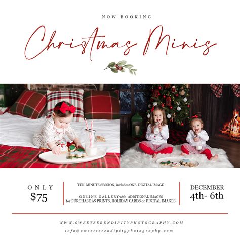 Florida Newborn Wedding And Boudoir Photography Photographer In