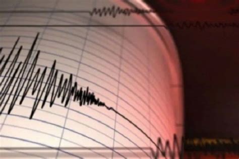 Gempa M 46 Mengguncang Pulau Panjang Ntb