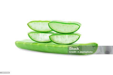 알로에 베라 신선한 흰색 배경에 고립a 피부 관리 및 헤어 케어에 대 한 매우 유용한 허브 약 건강관리와 의술에 대한 스톡 사진 및 기타 이미지 Istock
