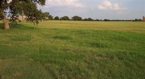 Empty Grassy Field Blank Template Imgflip