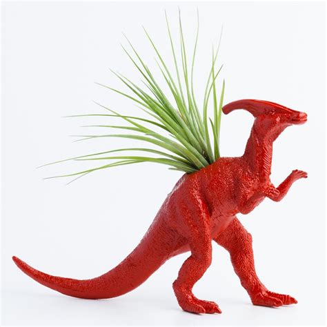 Dinosaur Planter With Air Plant Room Decor College Dorm