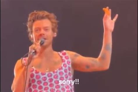 Harry Styles Dilemparin Chicken Nugget Sama Fans Pas Lagi Manggung