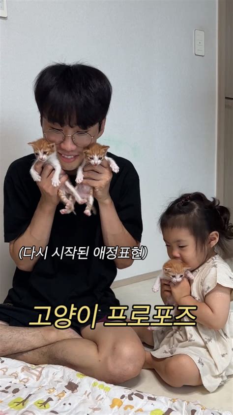 K아빠 이강태 고양이 프로포즈 K 아빠 와 아기 임보중 코숏 아기고양이 고양이입양 Instagram