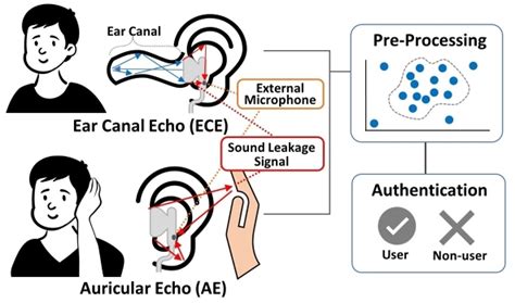User Authentication Method For Hearables Using Sound Leakage Signals
