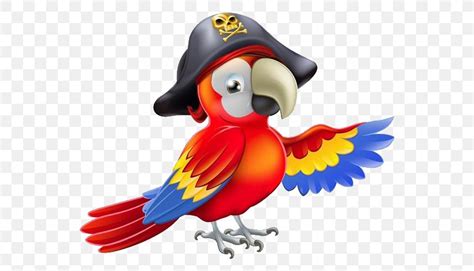 Pirate Parrot Piracy Royalty Free Png 600x470px Parrot Beak Bird