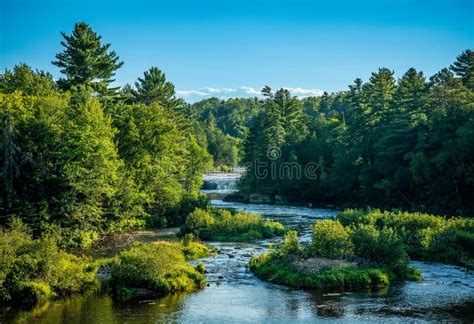 Lower Tahquamenon Falls Scenic Beauty Surrounding River Stock Image