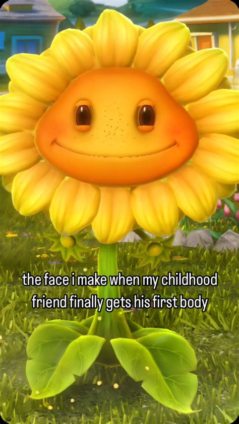 Fried Sunflower Another Day Another Banger Meme Viral Fyp