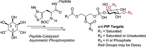The Journal Of Organic Chemistry Vol No ACS Publications