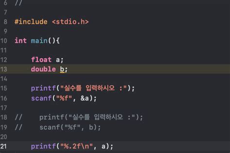 C언어 자료형float Double 구분 및 형식 지정자 정리 네이버 블로그
