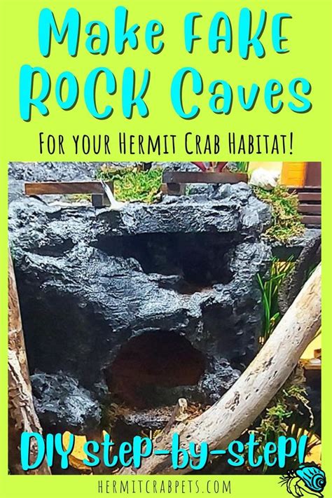 Hermit Crab Habitat Fun And Stimulation Artofit