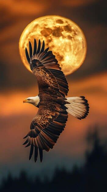Full Moon With Eagle Images Free Download On Freepik