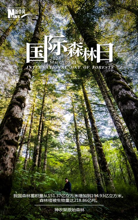 國際森林日︱“森林與創新” 創造更美新世界 新華網
