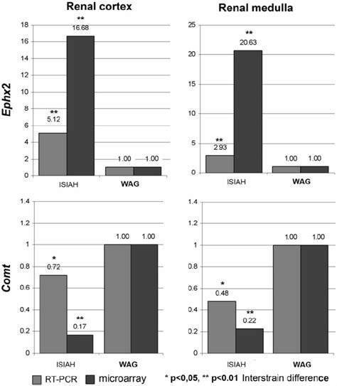 Confirmation Of Microarray Data By Real Time Pcr The Y Axis Represents Download Scientific