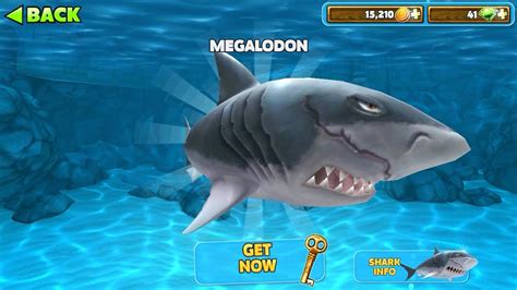 Megalodon Resurrected Hungry Shark Evolution YouTube