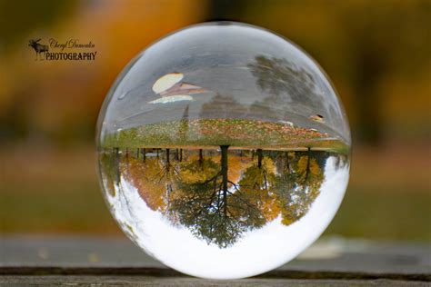 Fall Fun With My Lensball • Cheryl Dumoulin Photography