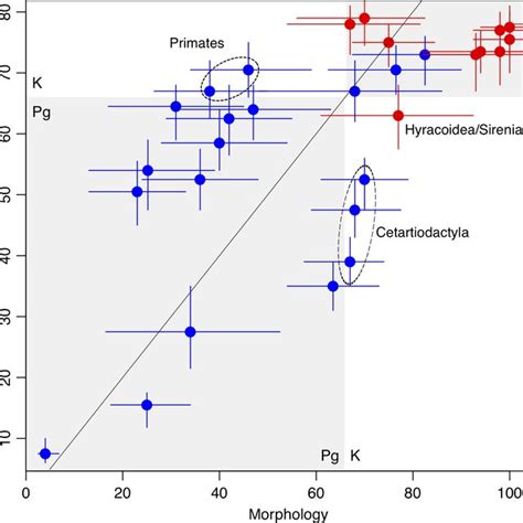Comparison Between Divergence Times Estimated From The Morphological