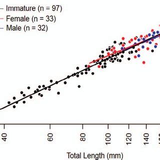 Log E EOD Amplitude As A Function Of Log E Total Length In Immature Download Scientific