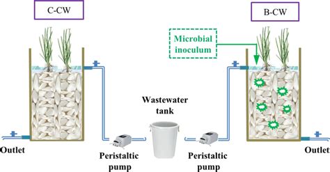 Schematic Diagram Of The Experimental Vertical Subsurface Flow Cw Systems Download Scientific