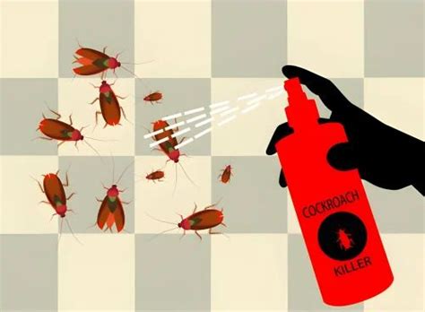 Cockroaches Pest Control Services At ₹ 05sq Ft In Mumbai Id