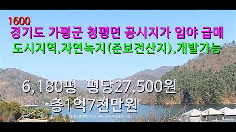 번호 1600 경기도 가평군 청평면 공시지가 임야 급매물 Youtube