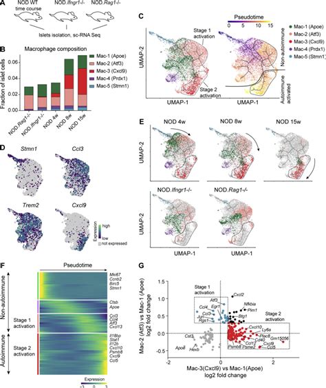 Single Cell Pseudotime Analysis Revealed A Two Step Program Of Download Scientific Diagram