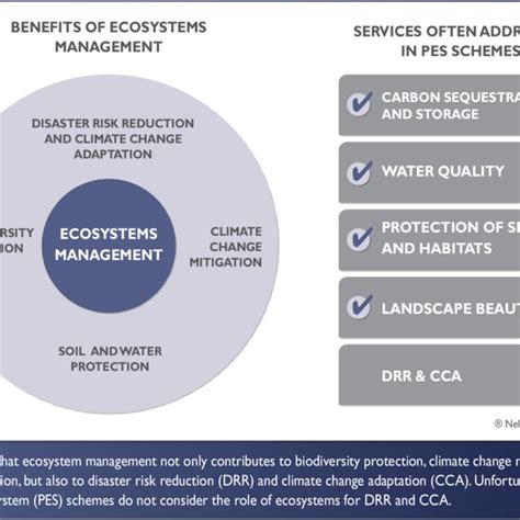 Multiple Benefits Of Ecosystems Left And Main Ecosystem Services