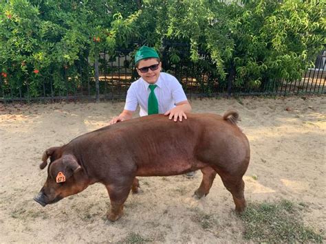 Mason Medeiros Mcswain 4 H