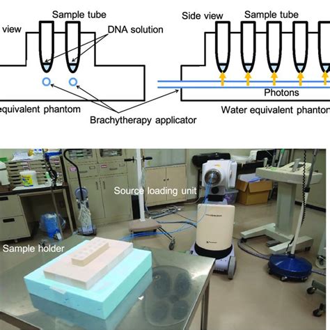 Experimental Setup A Schematic And B Photo Of The Plastic Phantom Download Scientific