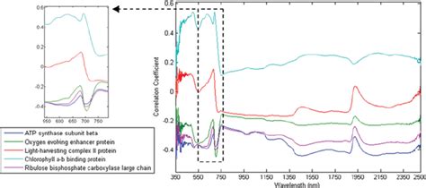 Correlation Coefficient Between Protein Concentration And Spectral Download Scientific Diagram