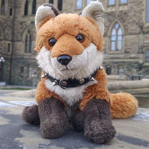 Felix Foxs Instagram Twitter And Facebook On Idcrawl