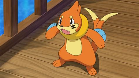 Image Ashs Buizelpng Seviland Encyclopedia Wiki Fandom Powered