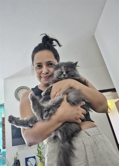 Meet Luna 😻😻 Cats Of Threads Share Your Favourite Cat Pics Below 👇